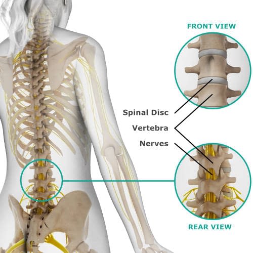 Lower Back Pain | Central Health Physiotherapy