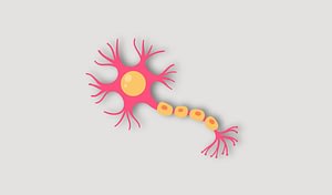 Resource 2: Understanding Our Complex Nervous System - Pure Unity Health