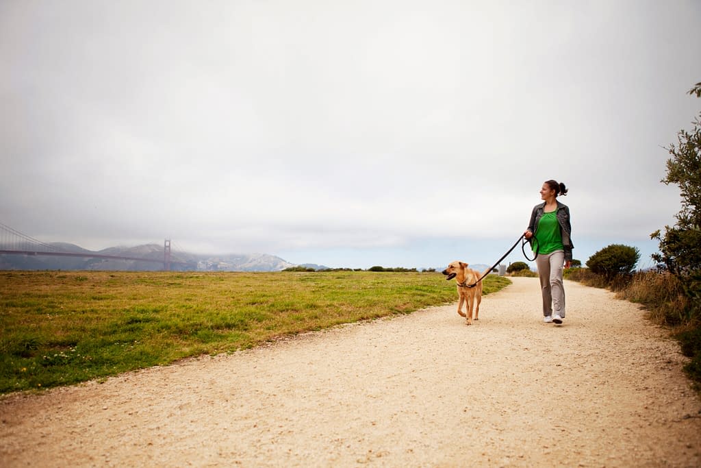 Why Walking Is One of the Best Exercises - Pure Physiotherapy
